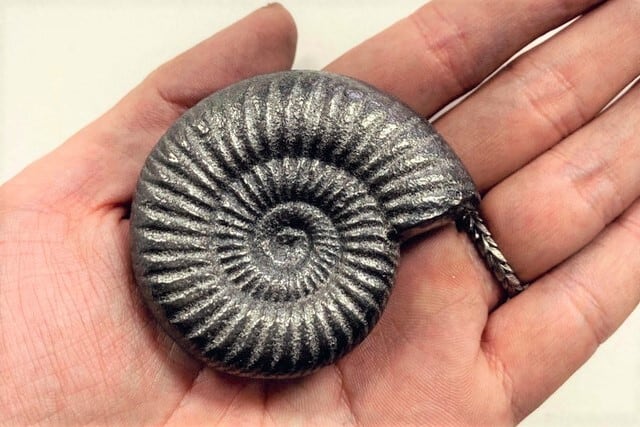 Authentic Japanese Nambu Ironware, Ammonite-shaped iron ingot for ...